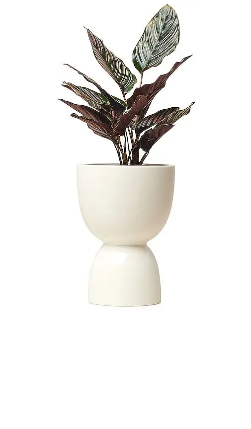 FRANCA NYC Medium Stacked Planter