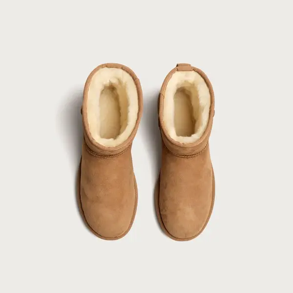 UGG Classic Mini Ii Boot - Chestnut