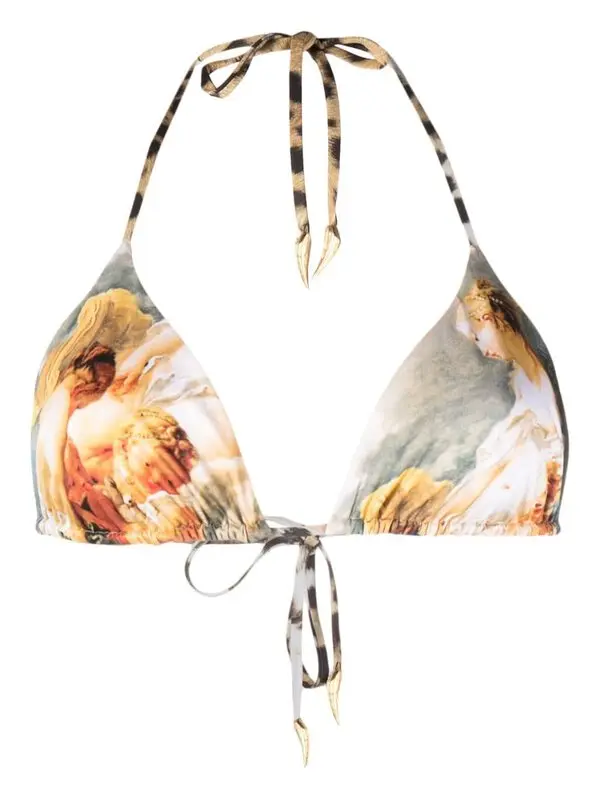 Roberto Cavalli Illustration-print Halterneck Bikini Top - Brown