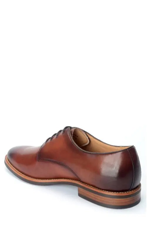 WARFIELD & GRAND Hobbs Plain Toe Derby - Cognac