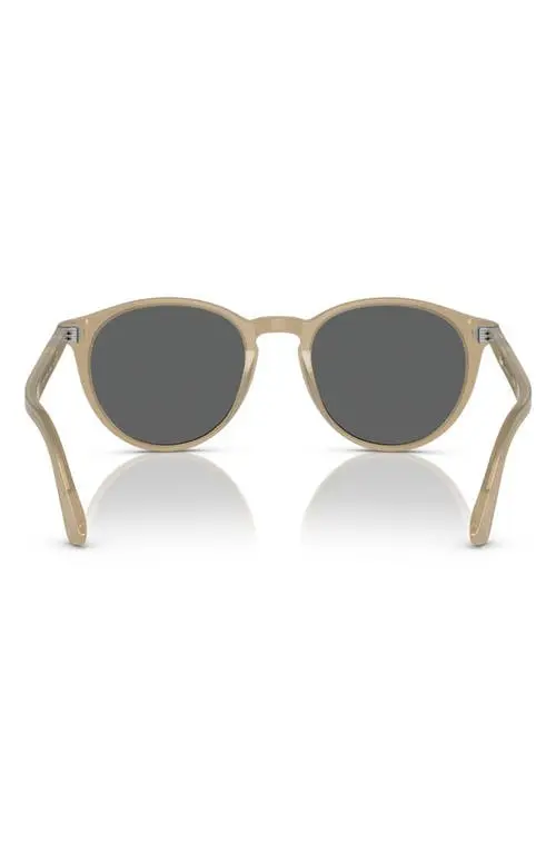 Persol 52mm Round Frame Sunglasses - Opal Beige