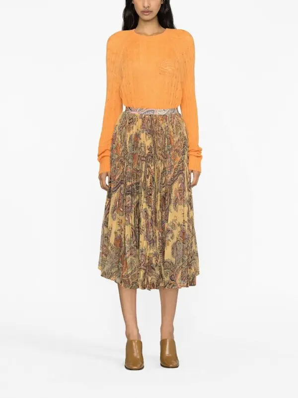 Etro Paisley-print Pleated Midi Skirt - Neutrals