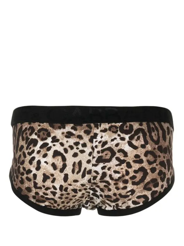 Dolce & Gabbana Leopard-print Boxers - Brown