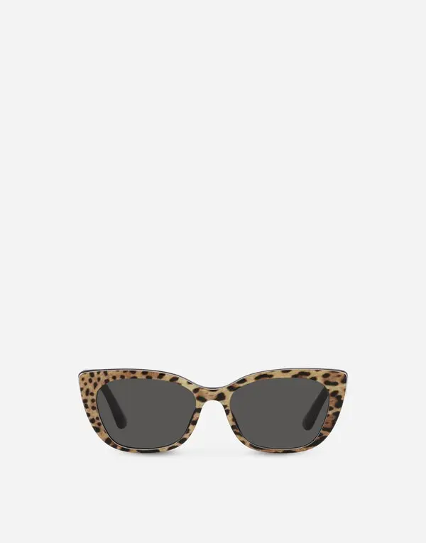 Dolce & Gabbana Sunglasses - Leo Print