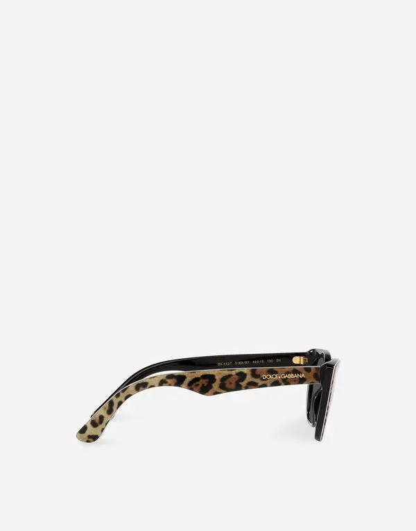 Dolce & Gabbana Sunglasses