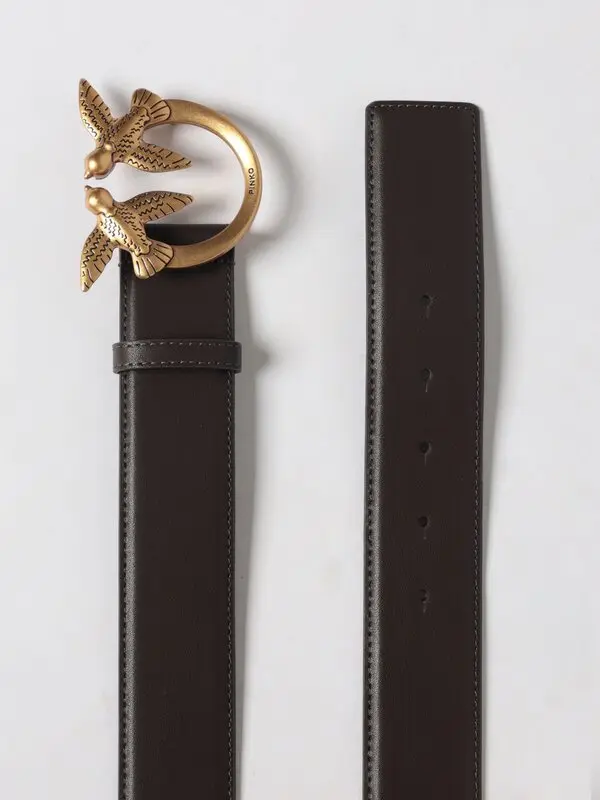 Pinko Belt With Buckle - Burnt