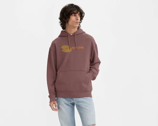 LEVI'S Relaxed Graphic Hoodie Sweatshirt - Arctic Dusk