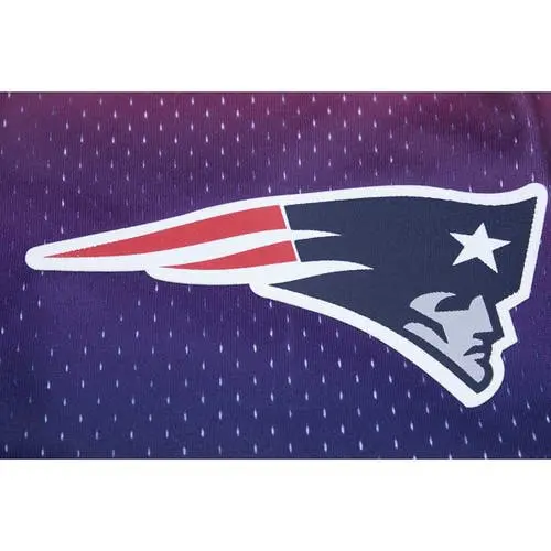 PRO STANDARD New England Patriots Ombre Mesh Shorts