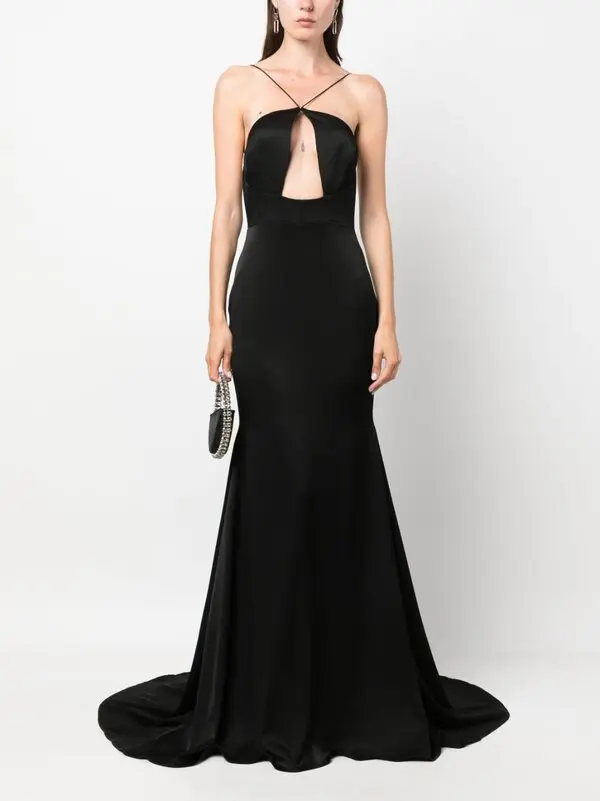Alex Perry Cut-out Maxi Gown