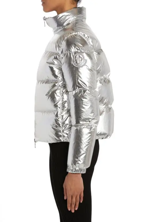 Moncler Meuse Laminated Nylon Down Jacket - Silver