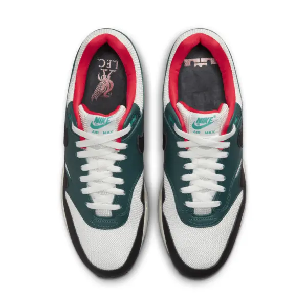 Nike Air Max 1 Premium Shoes
