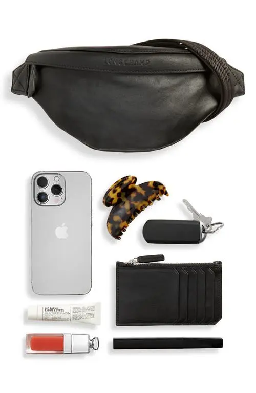 Longchamp 3d Leather Belt Bag