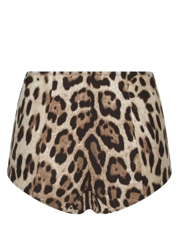 Dolce & Gabbana Leopard-print High-waisted Bikini Bottom