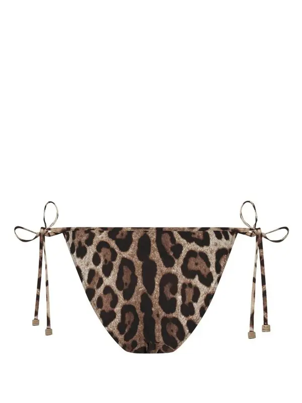 Dolce & Gabbana Leopard-print Bikini Bottom - Brown