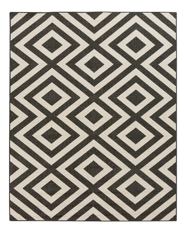 LIVABLISS Alfresco Alf-i Area Rug, 2'5 X 4'5 - Black