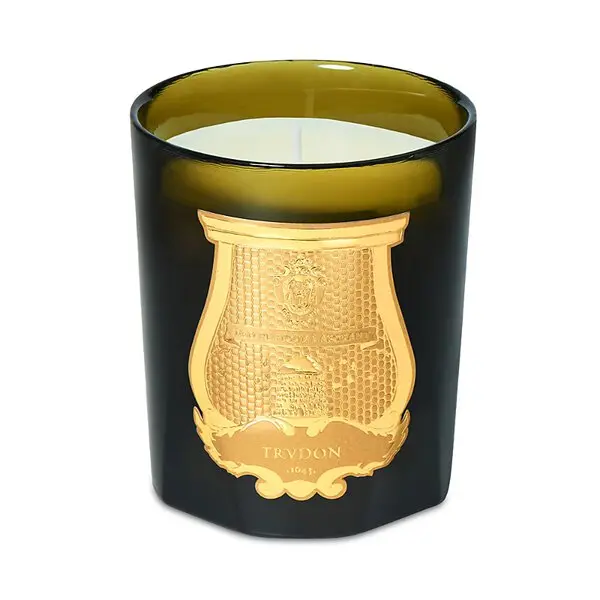 TRUDON Madeleine Classic Candle, Floral Leather, 9.5 Oz - No Color