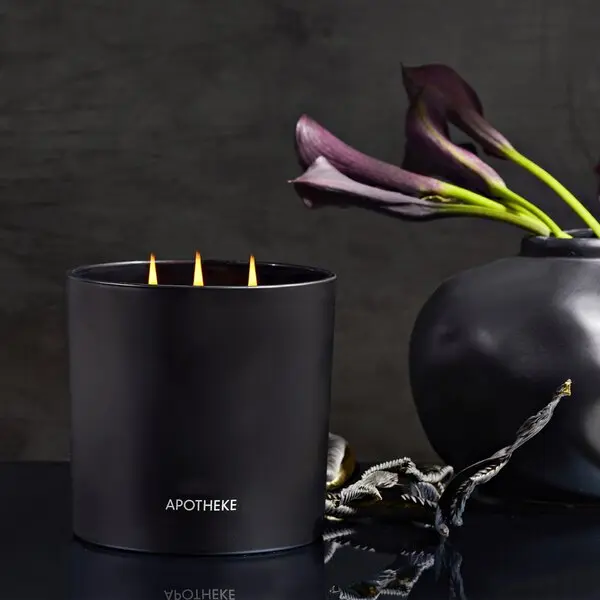 APOTHEKE Charcoal Scented 3-wick Candle, 26 Oz