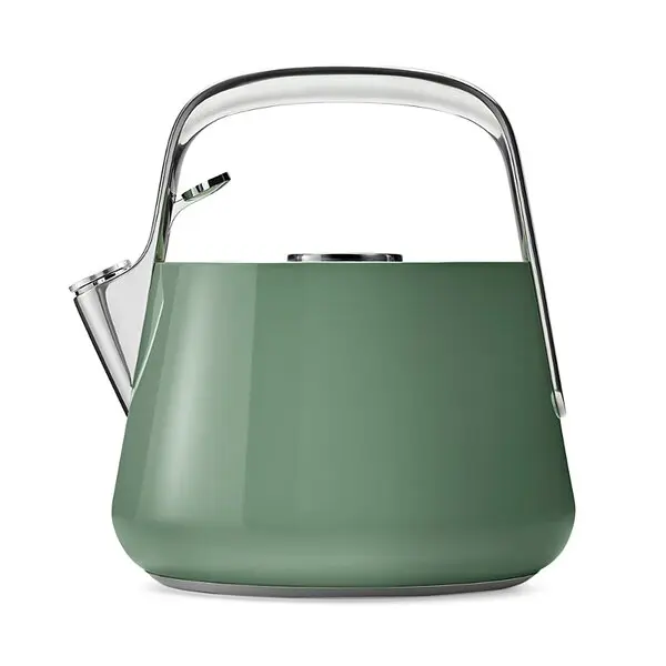 CARAWAY Stainless Steel Tea Kettle - Sage