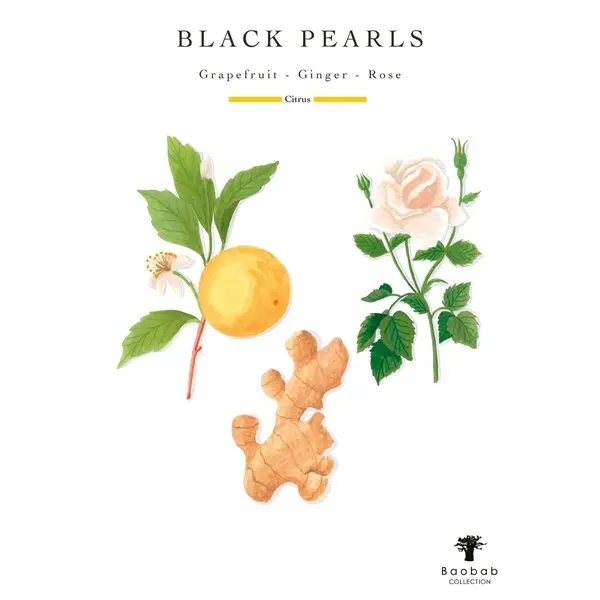 BAOBAB COLLECTION Max 24 Black Pearls Candle