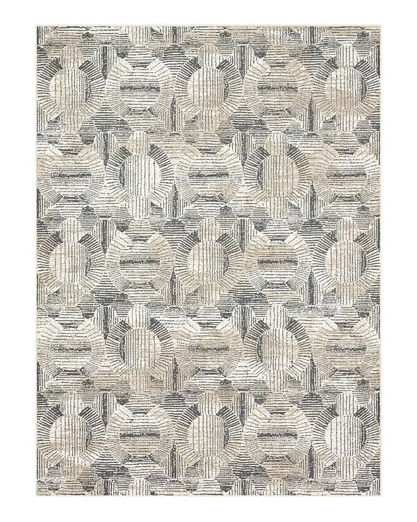 DREW & JONATHAN HOME Vanguard Valiant Area Rug, 5'3 X 7'10 - Silver