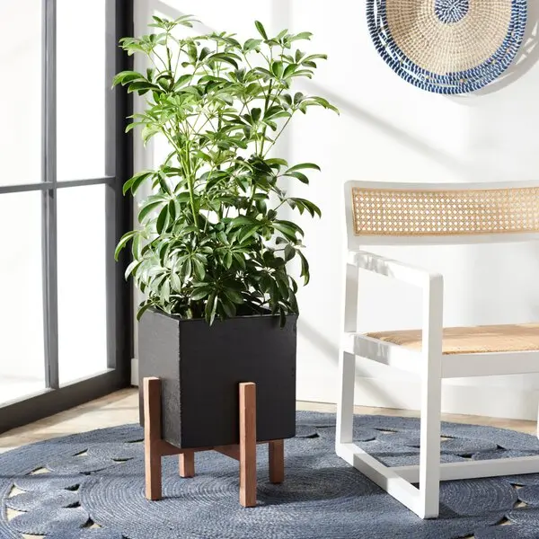 SAFAVIEH Borsla Planter - Black