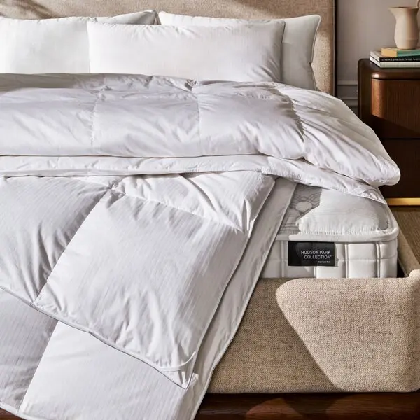 HUDSON PARK COLLECTION My Warmest Asthma & Allergy Friendly Down Comforter, Twin/twin Xl Exclusive