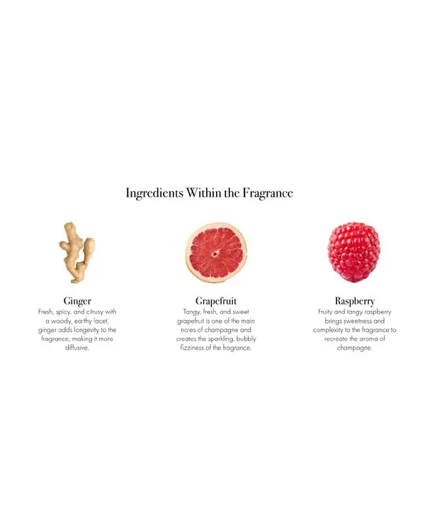 LAFCO Champagne Classic Reed Diffuser, 6 Oz