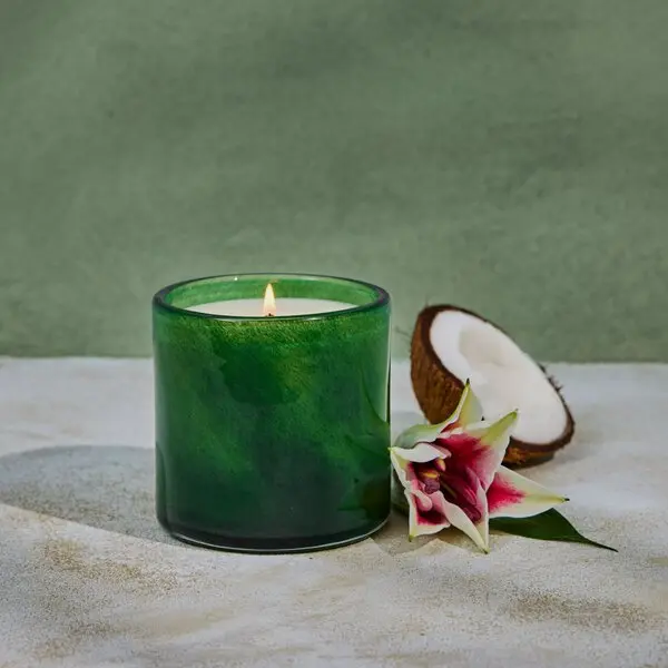 LAFCO NEW YORK Jungle Bloom Signature Candle, 15.5 Oz