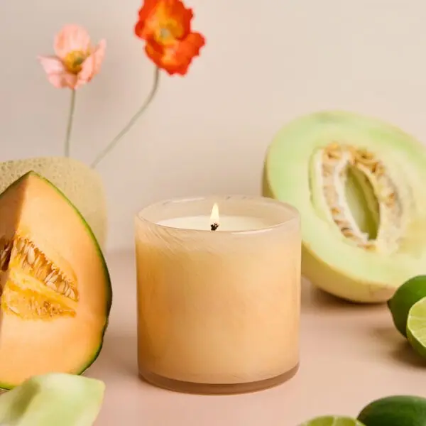 LAFCO NEW YORK Paloma Melon Classic Candle, 6.5 Oz
