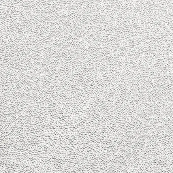 KIM SEYBERT Pebble Placemat - Silver