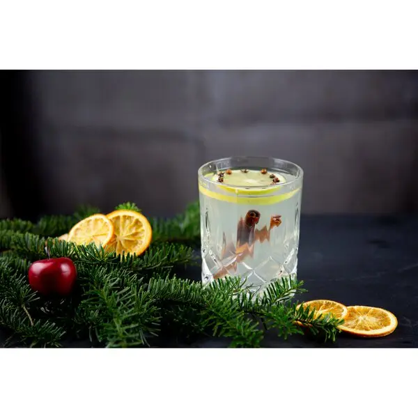 RIEDEL Spey Crystal Whiskey Glasses, Set Of 2