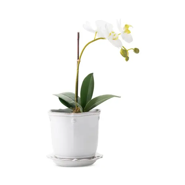 JULISKA Berry & Thread 5.25 Planter With Saucer