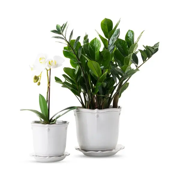 JULISKA Berry & Thread 7 Planter With Saucer