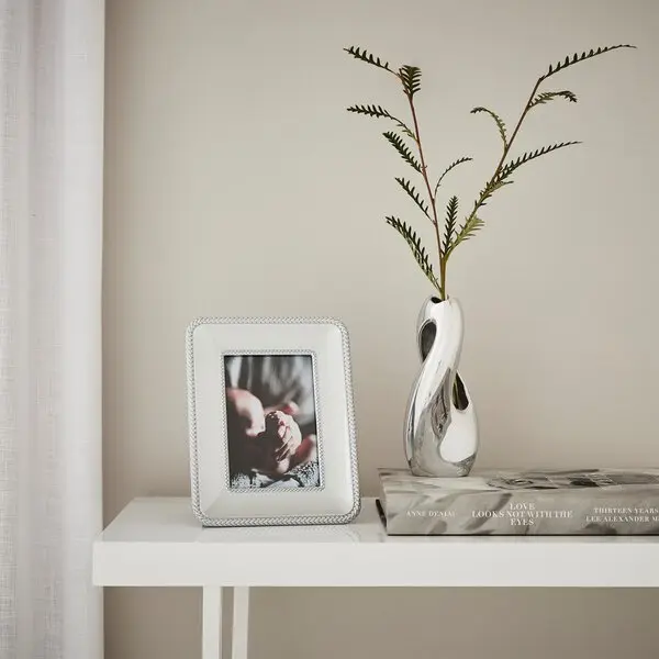 NAMBE Braid Frame, 4 X 6 - Chrome Plate