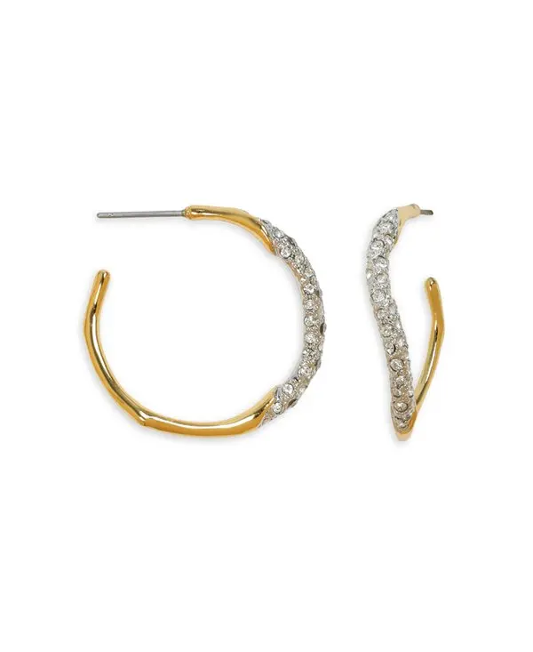 Alexis Bittar Pave Hoop Earrings - Silver/gold