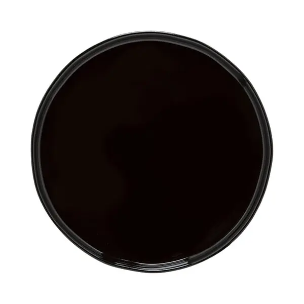 COSTA NOVA Lagoa Eco Gris Dinner Plate - Black
