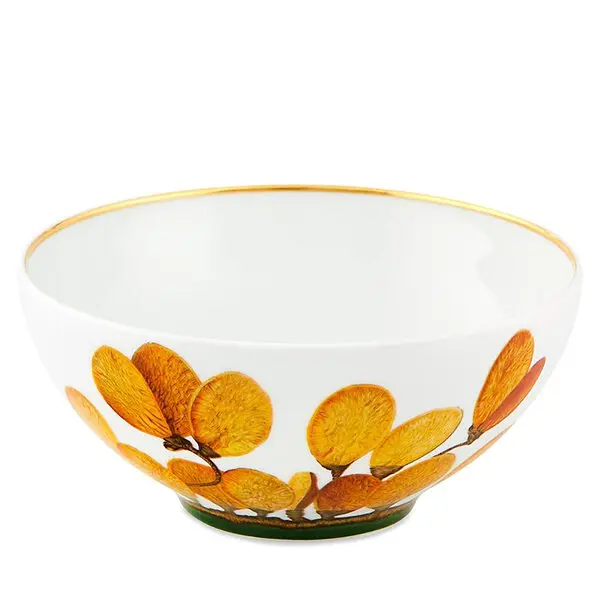 VISTA ALEGRE Amazonia Cereal Bowl - Orange