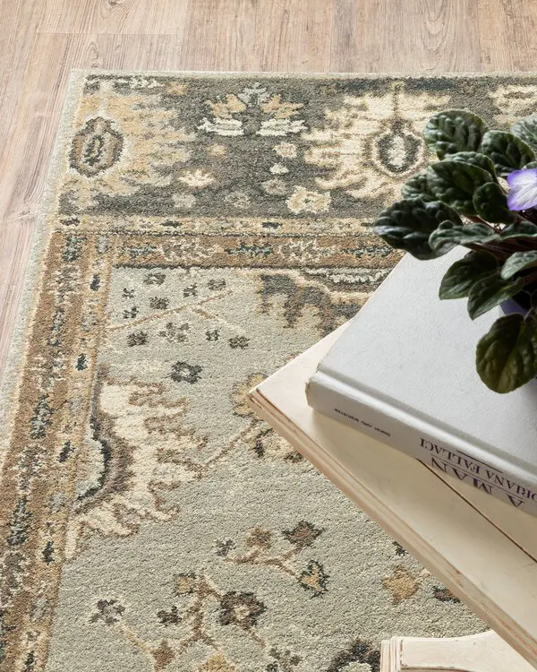 ORIENTAL WEAVERS Florence 4928c Area Rug, 7'10 X 10'10