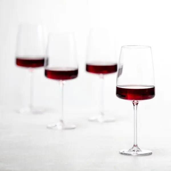 SCHOTT ZWIESEL Sensa Red Wine Glass, Set Of 6