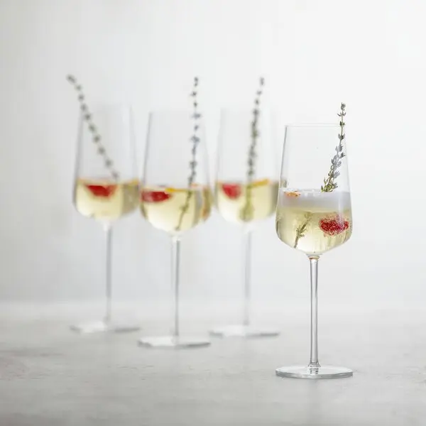 SCHOTT ZWIESEL Vervino Champagne Glass, Set Of 6