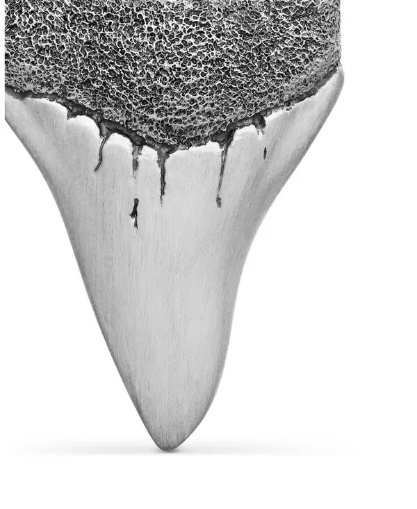 David Yurman Sterling Shark Tooth Amulet - Silver