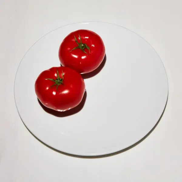 Bernardaud Origine Service Plate