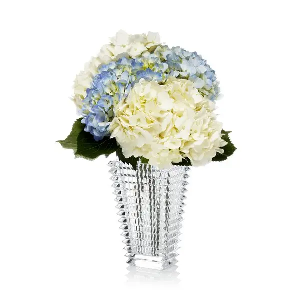 THE MARTHA, BY BACCARAT Eye Small Rectangular Vase - Clear