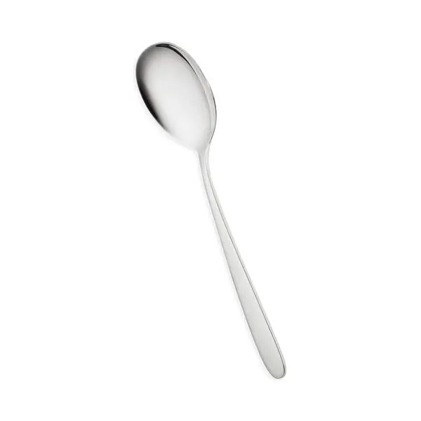 VILLEROY & BOCH Daily Line Serving Spoon