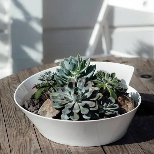 VILLEROY & BOCH New Wave Round Salad Bowl, Large