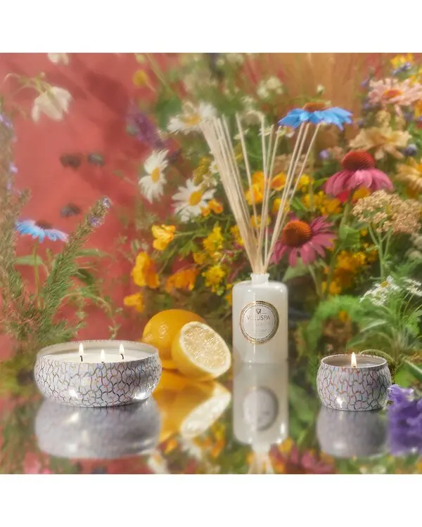 Voluspa Wildflowers Reed Diffuser