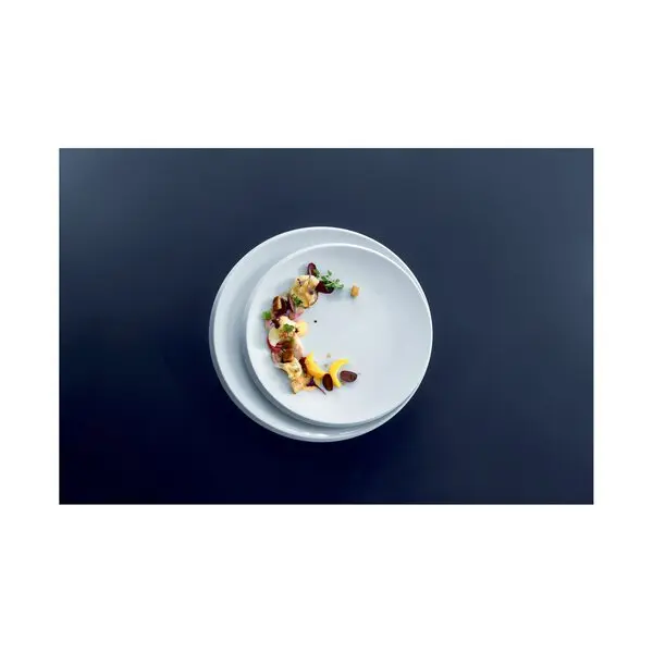 VILLEROY & BOCH New Moon Dinnerware 12 Piece Set