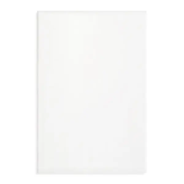 Gingerlily Silk Solid Fitted Sheet, King - White
