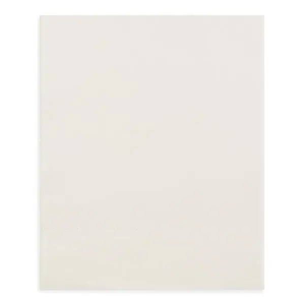 Gingerlily Silk Solid Flat Sheet, King - Ivory