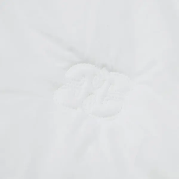 Gingerlily Summer Weight Silk Filled Comforter, Twin